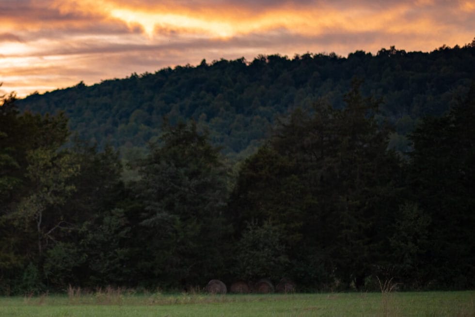 About | Rock Spring Mountain Farm