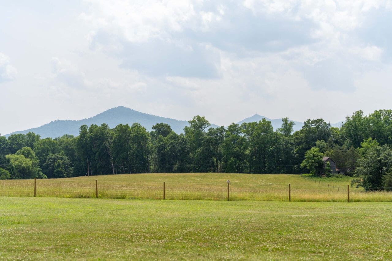 About – Rock Spring Mountain Farm