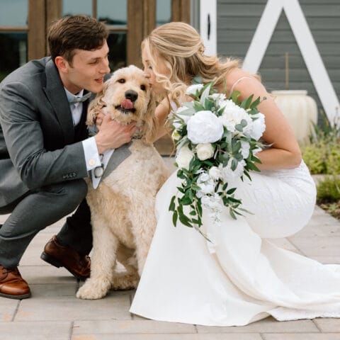 Home – Rock Spring Mountain Farm